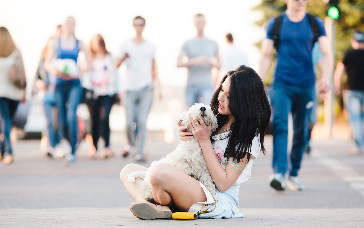 El valor de las personas como reforzadores sociales para los perros ...